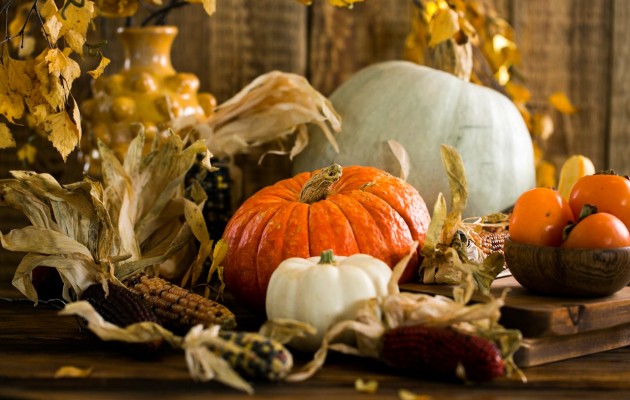 Fun Fall Tenant Events to Organize to Foster Community Among Your ...
